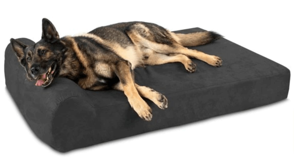 6 Best Dog Beds for German Shorthaired Pointers (GSP) - Best Dog Resources